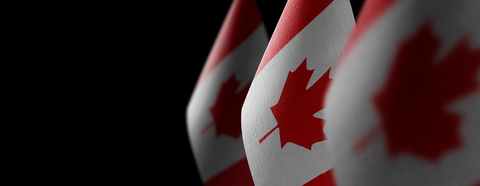 Worldecr Canada Arrests Retired Police Officer On Charges Of Working ‘to Benefit China Worldecr 1470